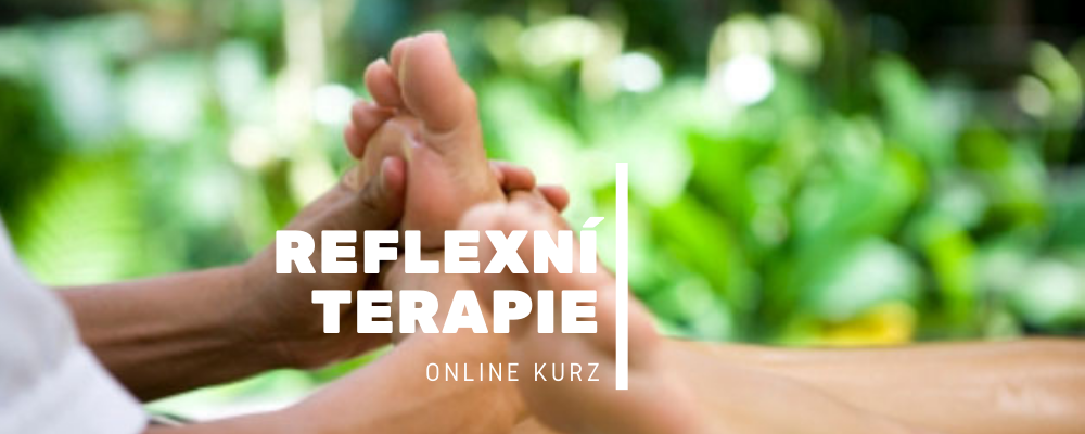 Reflexní terapie – Obnovte rovnováhu těla přes reflexní body | Kurzy ...